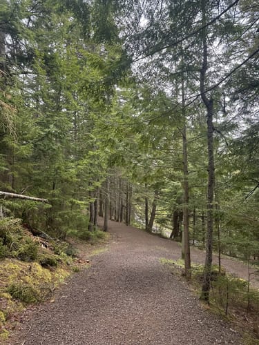 Best Hikes and Trails in Victoria Park | AllTrails