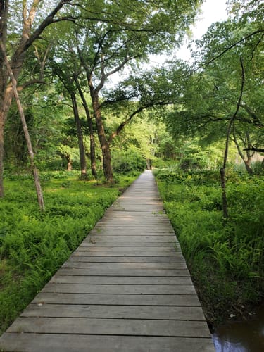 Best Hikes and Trails in Cheesequake State Park | AllTrails