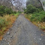 Sullivan Canyon Trail, California - 677 Reviews, Map | AllTrails