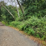 Sullivan Canyon Trail, California - 819 Reviews, Map | AllTrails