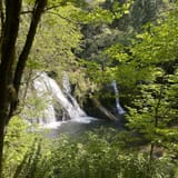 Beaver Falls, Washington - 247 Reviews, Map | AllTrails