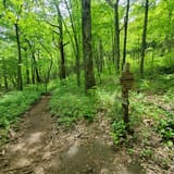 Standing Indian, Mount Albert, Nantahala Basin Loop, North Carolina ...