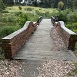 Presidio Loop Trail, California - 1,315 Reviews, Map | AllTrails