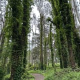 Presidio Loop Trail, California - 1,315 Reviews, Map | AllTrails