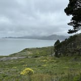 Presidio Loop Trail, California - 1,315 Reviews, Map | AllTrails