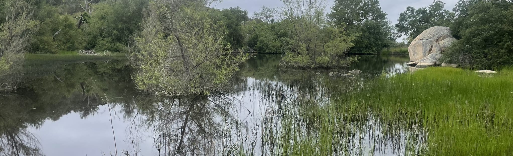 Sage, Cougar Ridge and Boulder Trail Loop: 626 Reviews, Map ...