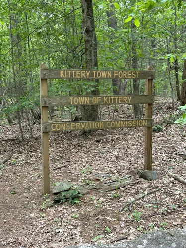 Best Hikes and Trails in Kittery Town Forest | AllTrails