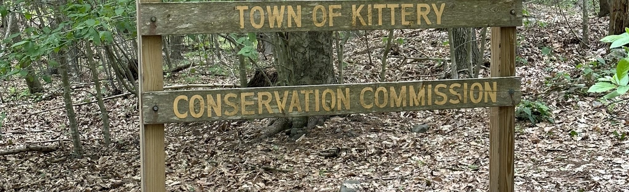 Kittery Town Forest Yellow, Red, Blue Loop: 130 Reviews, Map - Maine ...