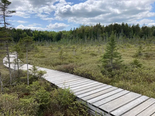 2023 Best Trails, Walks, and Paths in Cookshire-Eaton | AllTrails