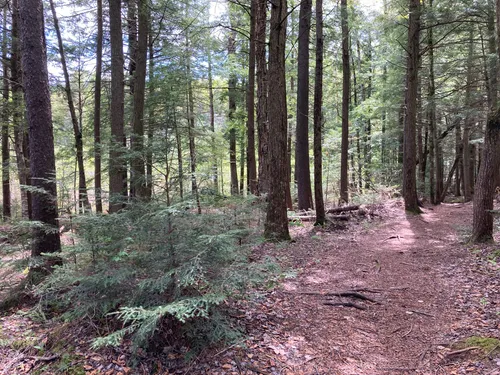 2023 Best Trails, Walks, and Paths in Cookshire-Eaton | AllTrails