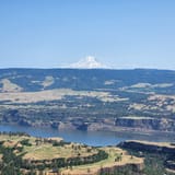 Tom McCall Point Trail [CLOSED], Oregon - 1,474 Reviews, Map | AllTrails
