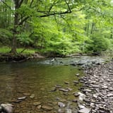 Black Forest North Loop Trail, Pennsylvania - 300 Reviews, Map | AllTrails