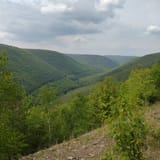 Black Forest North Loop Trail, Pennsylvania - 300 Reviews, Map | AllTrails