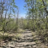 Pembina Rim Trail, Manitoba, Canada - 373 Reviews, Map | AllTrails