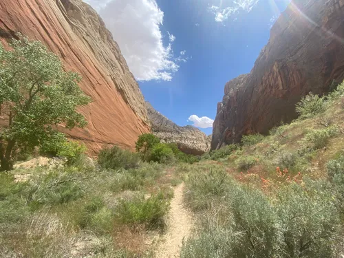 Best Hikes and Trails in Box-Death Hollow Wilderness | AllTrails