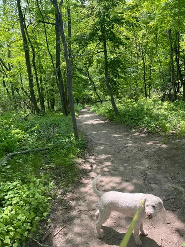 Best Hikes and Trails in Hamlin Beach State Park | AllTrails