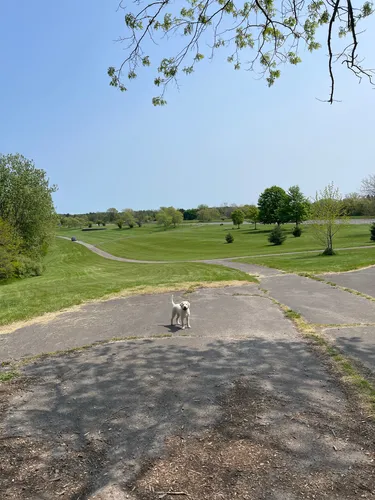 Best Hikes and Trails in Hamlin Beach State Park | AllTrails