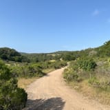 Canyon Trail to Spring Creek Trail Loop, California - 1,417 Reviews ...