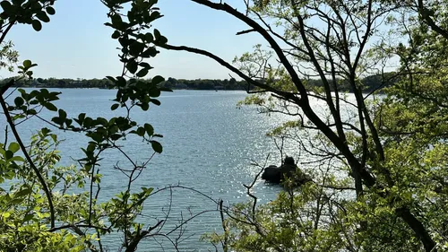 Best Hikes and Trails in Mashomack Preserve | AllTrails