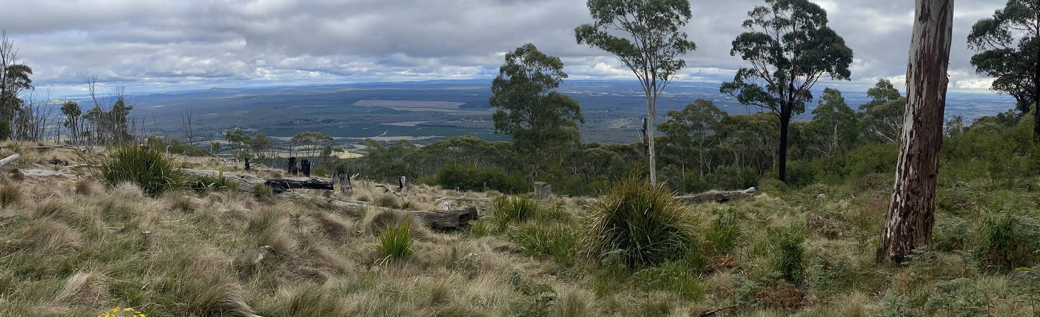 Mount Macedon Peak loop: 21 Reviews, Map - Victoria, Australia | AllTrails