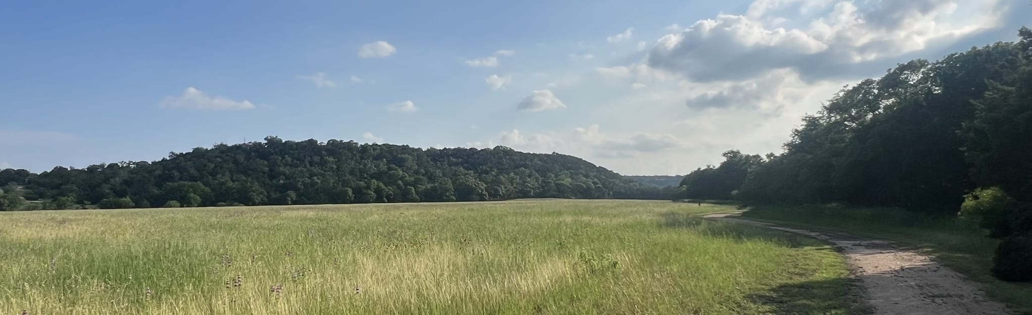 Garey Park Meadow Trail Loop, Texas - 160 Reviews, Map | AllTrails