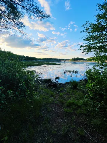 Best Hikes and Trails in Ross Marsh Wildlife Area | AllTrails