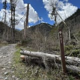 Lost Lake Trail, New Mexico - 262 Reviews, Map | AllTrails