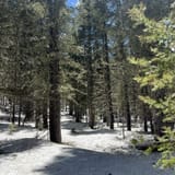 Lost Lake Trail, New Mexico - 262 Reviews, Map | AllTrails