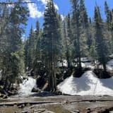 Lost Lake Trail, New Mexico - 262 Reviews, Map | AllTrails