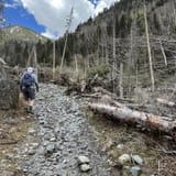 Lost Lake Trail, New Mexico - 262 Reviews, Map | AllTrails