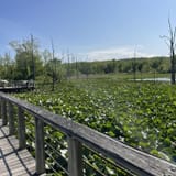 Ohio and Erie Canal Towpath: Botzum to Everett, Ohio - 772 Reviews, Map ...