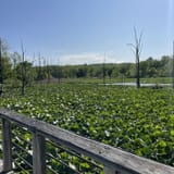 Ohio and Erie Canal Towpath: Botzum to Everett, Ohio - 772 Reviews, Map ...