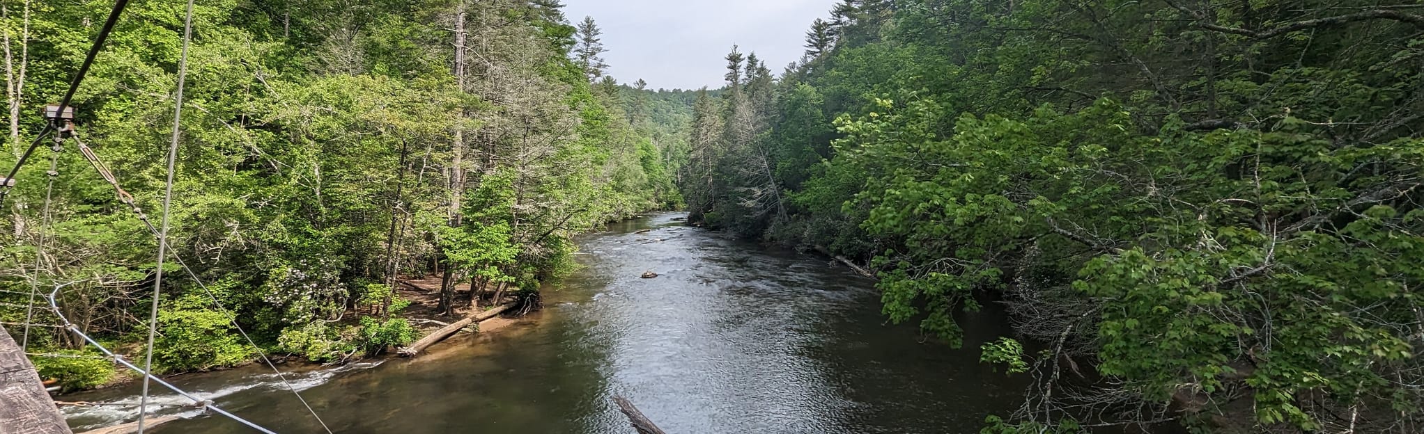 Benton MacKaye Duncan Ridge Trail: Morganton Highway to Toccoa River ...