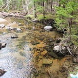 Little Harbor Brook Trail, Maine - 184 Reviews, Map | AllTrails