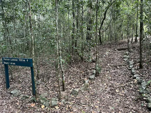 Parc national de Mudlo : les meilleures randonnées et itinéraires à ...