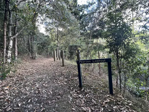 Best Hikes and Trails in Mudlo National Park | AllTrails