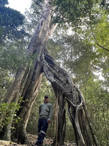 Best Hikes and Trails in Mudlo National Park | AllTrails