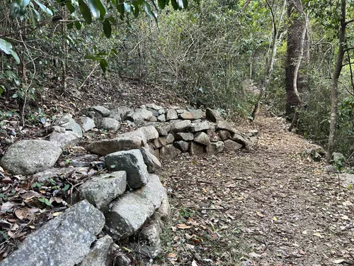 Best Hikes and Trails in Mudlo National Park | AllTrails