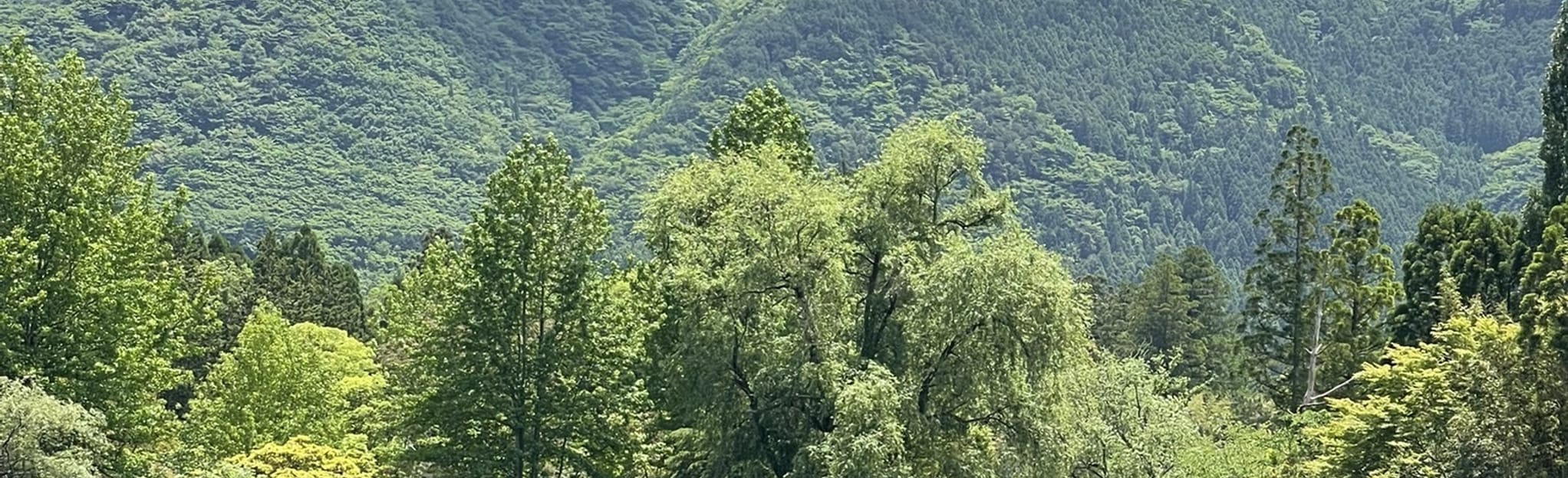 Yufuin Tourism Walk: 4 Reviews, Map - Oita, Japan | AllTrails