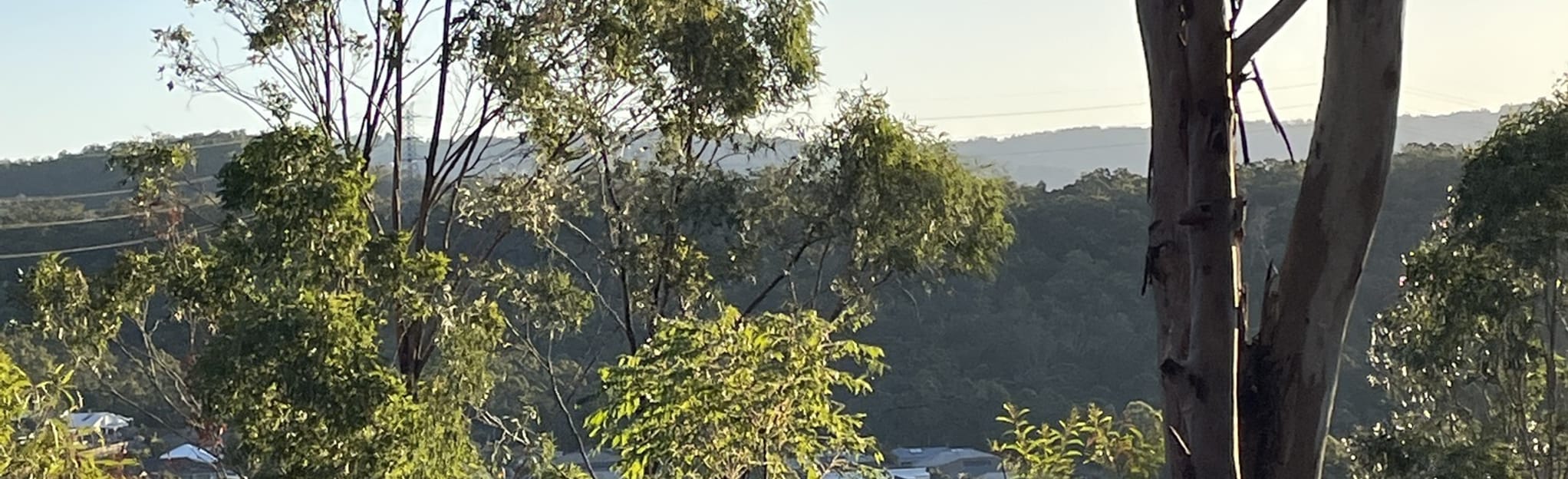 Nerang National Park South West Loop, Queensland, Australia - 11 ...