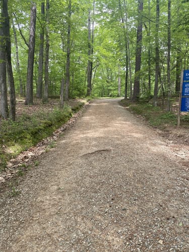 2023 Best Trail Running Trails in Duke Forest | AllTrails