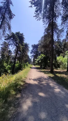 10 Best Hikes and Trails in Monsanto Forest Park | AllTrails