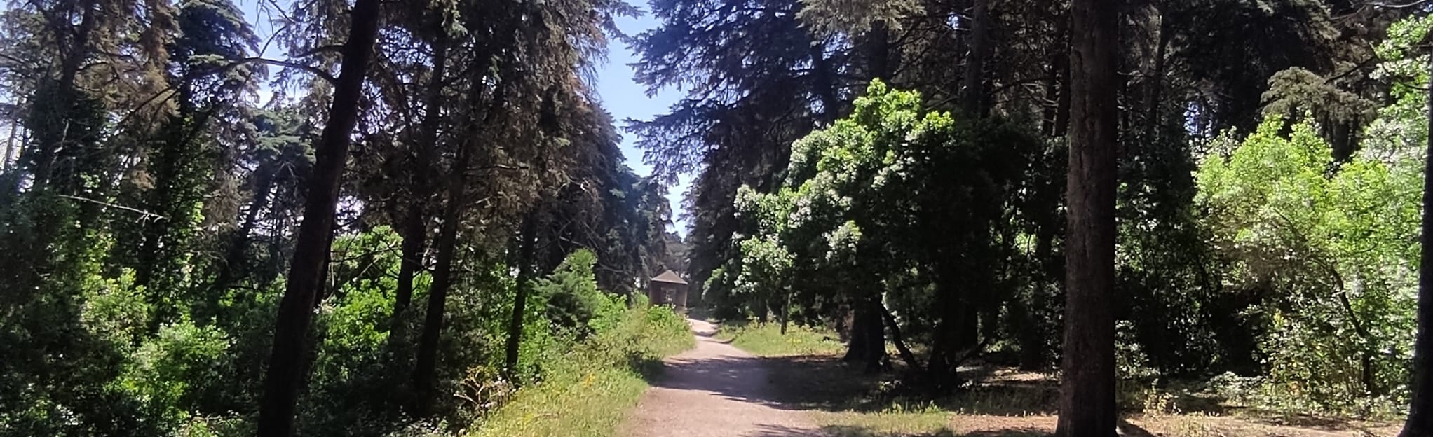 Blue Trail of Monsanto, Lisbon, Portugal - 145 Reviews, Map | AllTrails