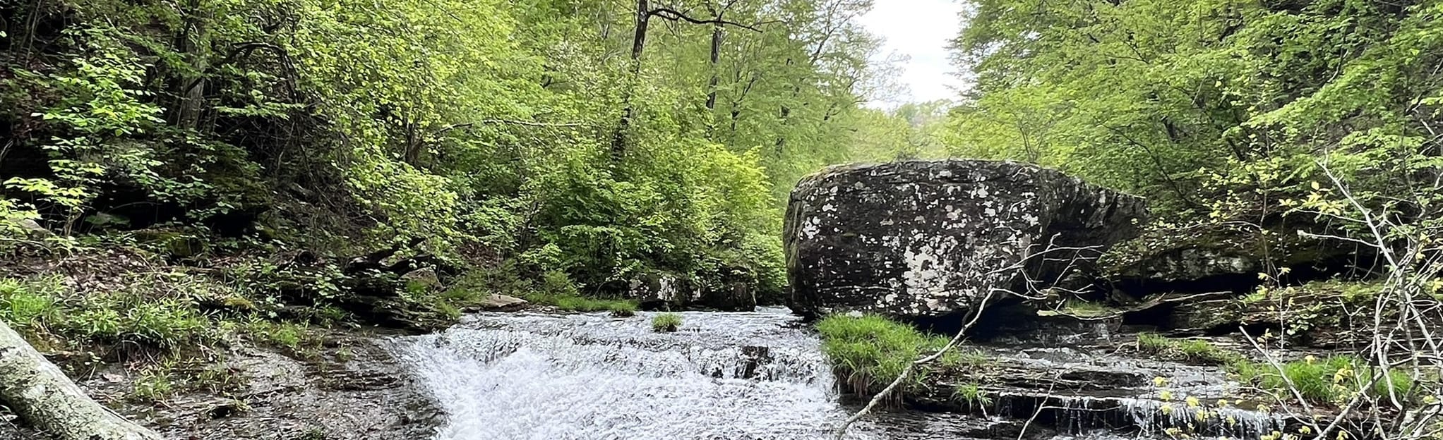 Leaning Log and Adkins Canyon Falls Trail: 24 Reviews, Map - Arkansas ...