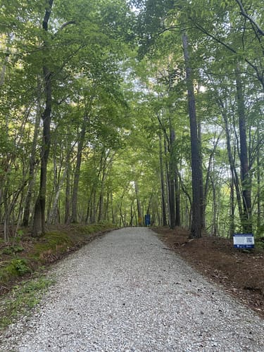 2023 Best Trail Running Trails in Duke Forest | AllTrails