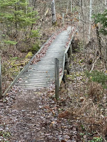10 Best Hikes and Trails in Au Sable State Forest | AllTrails