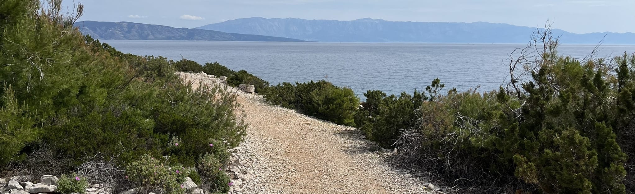 Jelsa - Bucht Soline - Bucht Maslinica: 69 Fotos - Split-Dalmatien ...