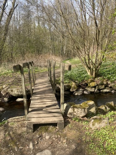 2023 Best 10 Trails, Walks, and Paths in Ludvigsborg | AllTrails