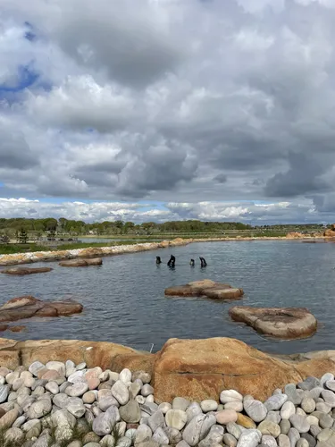 10 Best Trails, Walks, and Paths in Doncaster | AllTrails