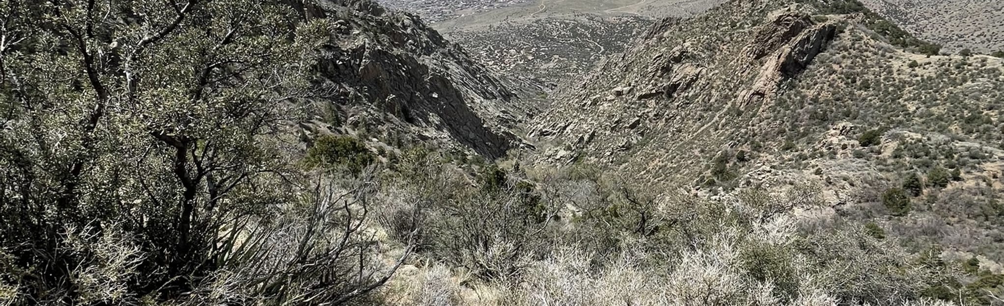 Tierra Monte North Trail to Tramway Trail, New Mexico - 44 Reviews, Map ...